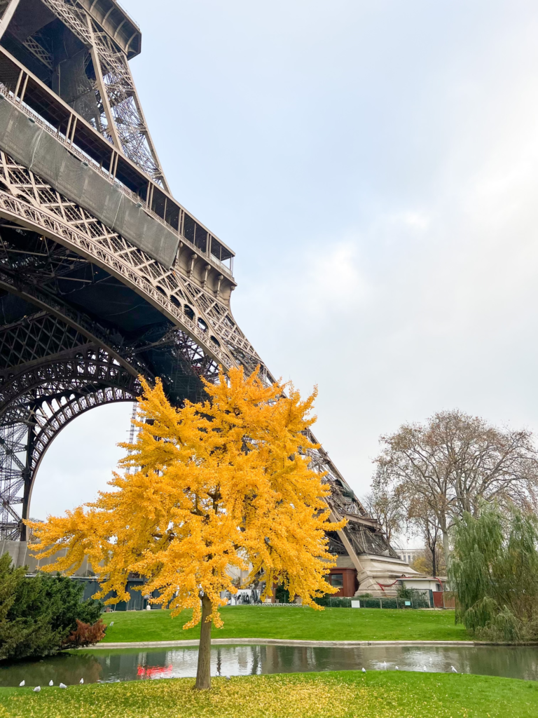 Fall travel capsule wardrobe