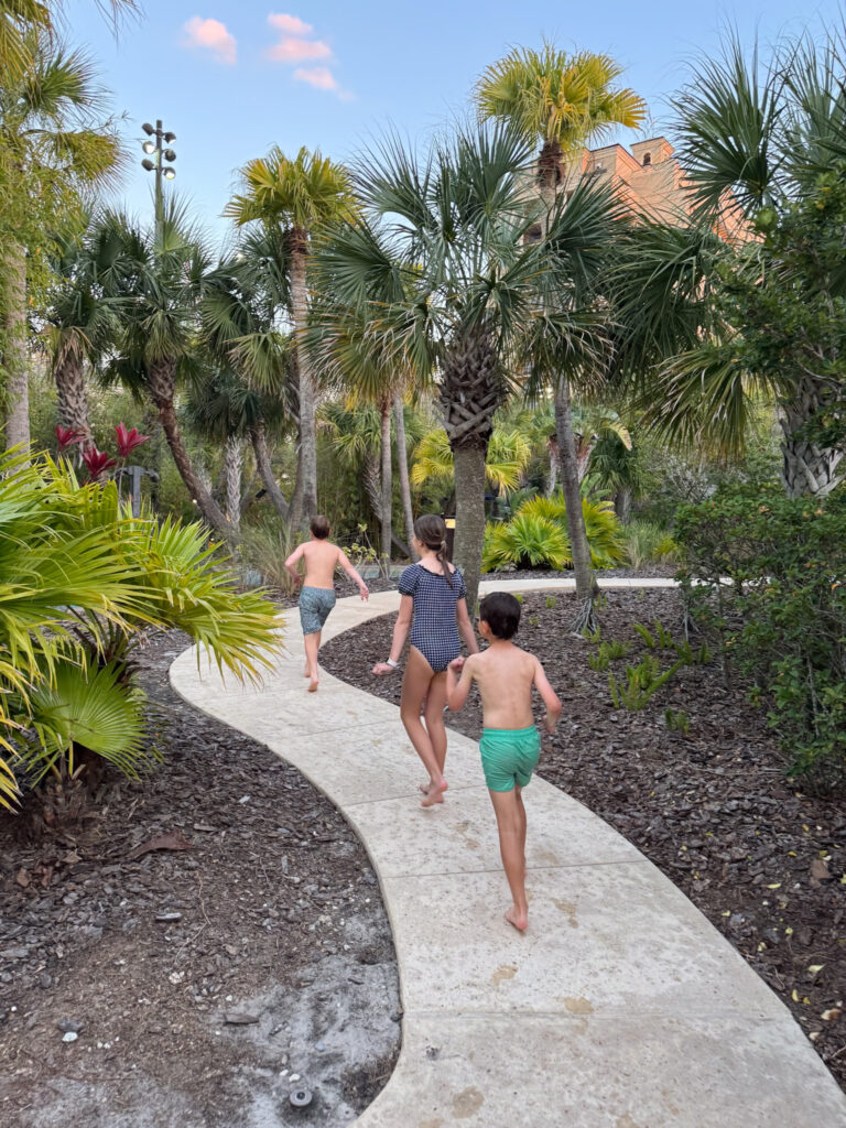 The Elevated Guide to Disney World: Tips & Tricks for a Magical (and ...